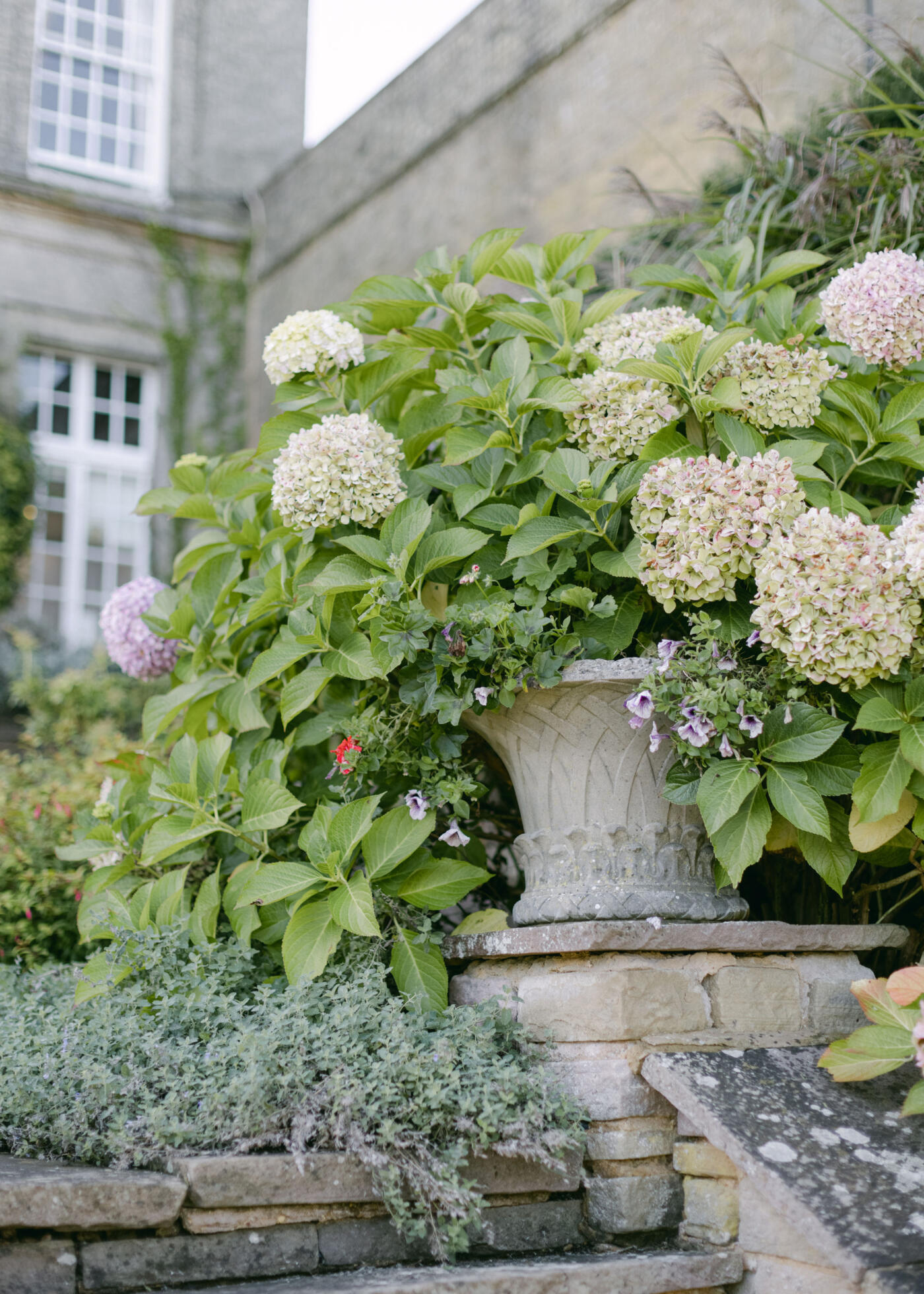 Jess & Emile - Hannah Hope